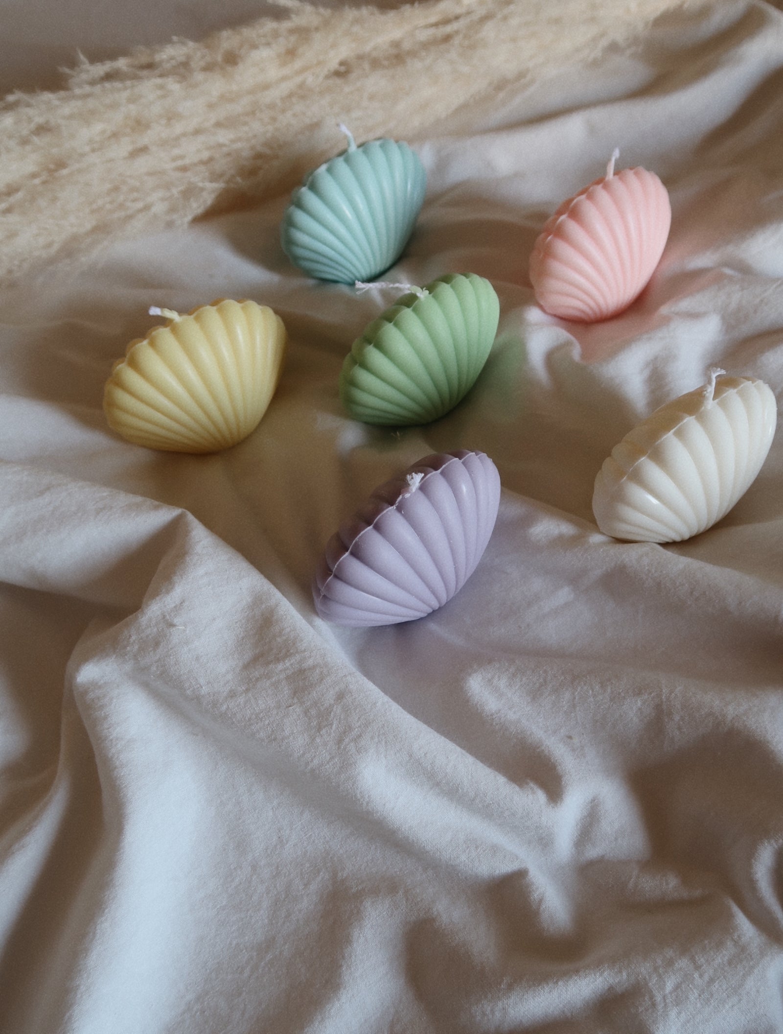 Shell – JulesCandle